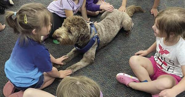 Chetek Police Department puts Therapy K-9 Program on hold | Top Stories ...