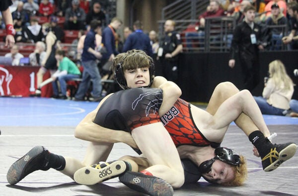 Gesler finishes fourth at state | Chetek-Weyerhaeuser Area School ...