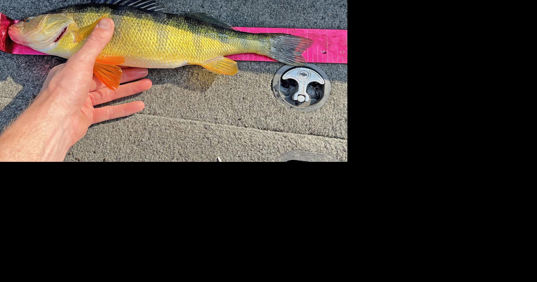 Patrick Durkin’s Outdoor Column | Outdoors | chetekalert.com