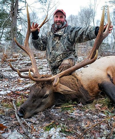 Cameron resident draws tag for Wisconsin’s 2019 elk hunt | Sports ...