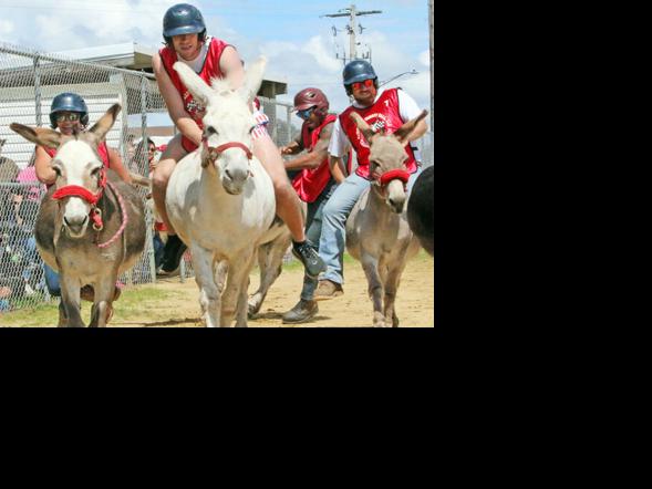 Hee-Haw: Donkey races entertain hundreds during Liberty Fest ...