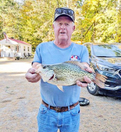 Angler lands 16-inch crappie on Chetek Chain | Outdoors | chetekalert.com