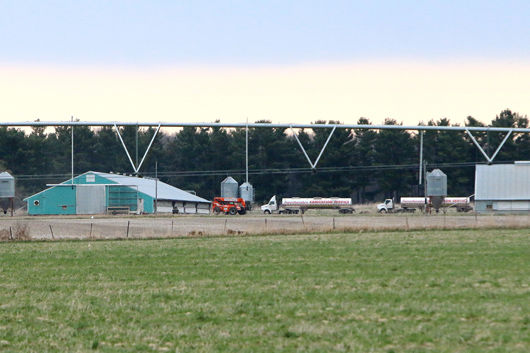 More avian flu outbreaks reported at Barron, New Auburn | Top Stories ...