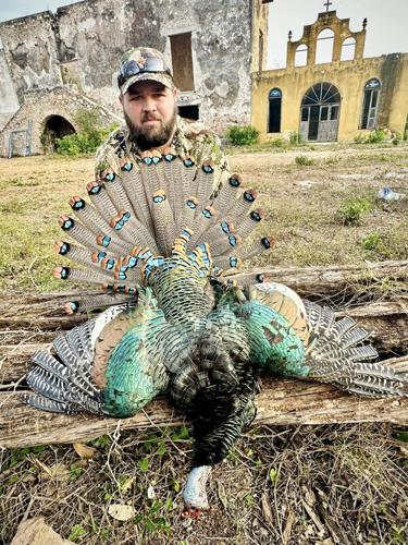 Chetek hunters harvest Ocellated turkeys in Yucatán | Outdoors ...
