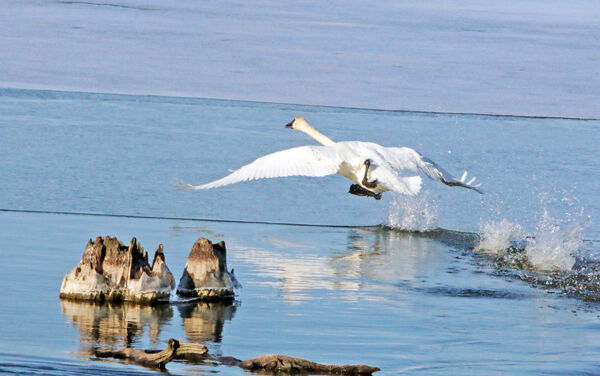March 4 marks earliest ice-out in Chetek Chain history | Outdoors ...