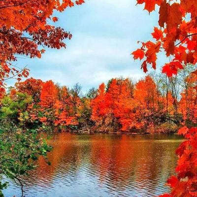 Peak colors of fall foliage piques interest of local photographer ...