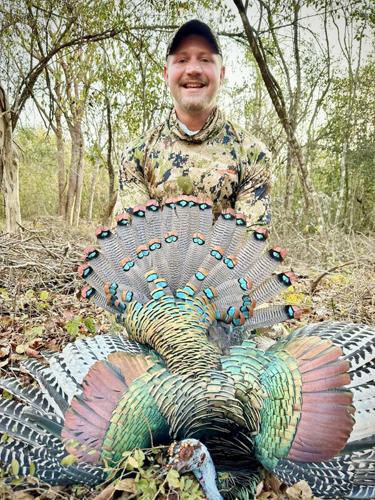 Chetek hunters harvest Ocellated turkeys in Yucatán | Outdoors ...