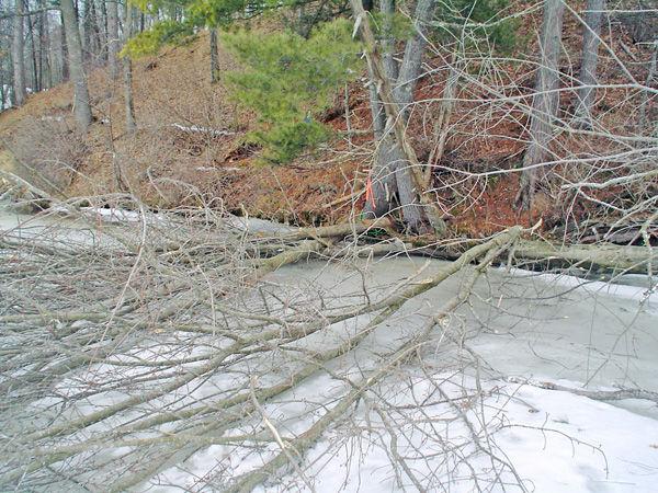 Fish Sticks: building lake habitat one tree at a time | Sports ...