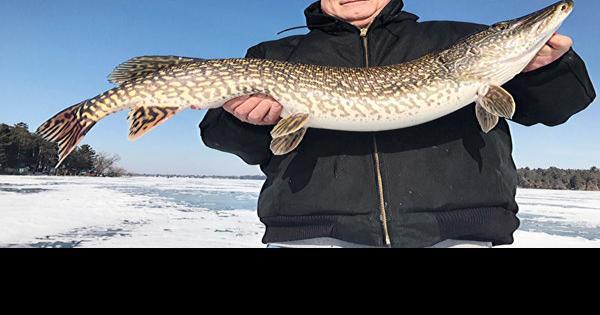 Where’s my 40-inch northern pike? | News | chetekalert.com