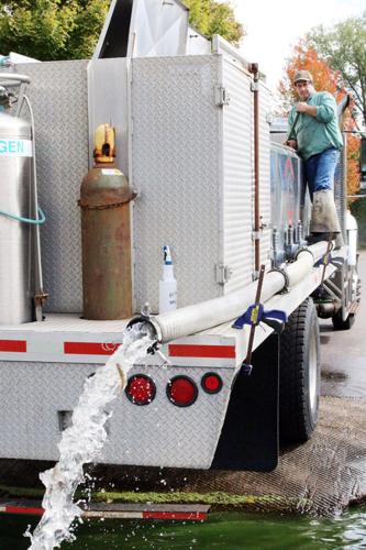 Walleyes for Chetek stocks 4,000 fish into local chain | Sports ...