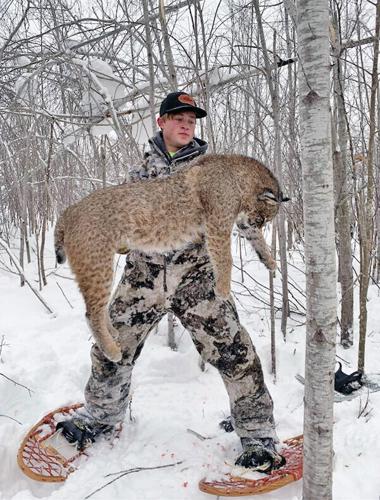 Chetek man harvests trophy bobcat | Sports | chetekalert.com