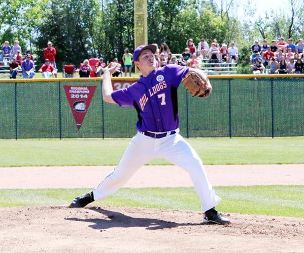 Bulldogs win regional championship, fall in sectionals | Sports ...