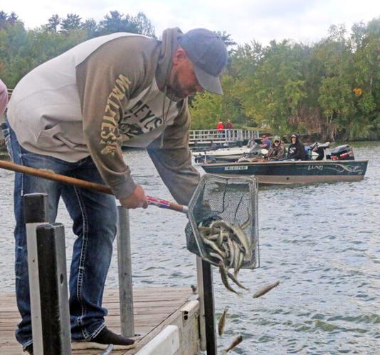 More than 11,000 walleyes stocked into Chetek Chain of Lakes | Outdoors ...