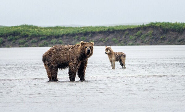 Chetek resident Whittenberger is adventure seeker in new show “Life on ...