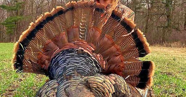 Tarvis tags her first turkey | Chetek-Weyerhaeuser Area School District ...
