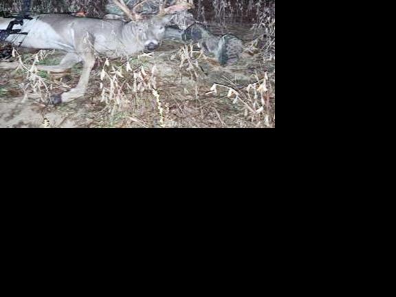 Local man charged with illegally shooting 22-point trophy buck | Crime ...