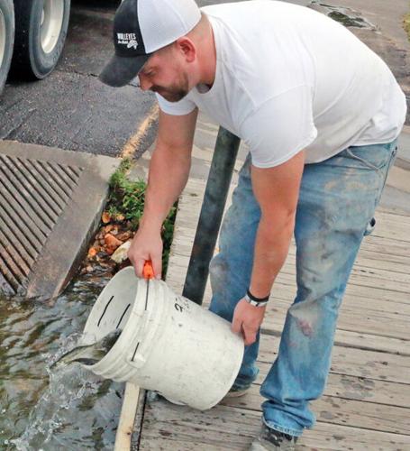 Another 12,000 large fingerling walleyes stocked into Chetek Chain ...
