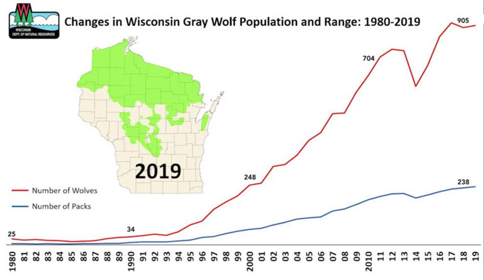 As wolves recover, calls in Wisconsin to end endangered species listing ...