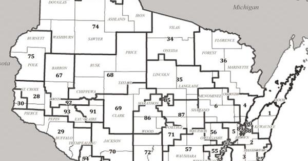 Voters take a look at new state legislative maps for senate, assembly ...