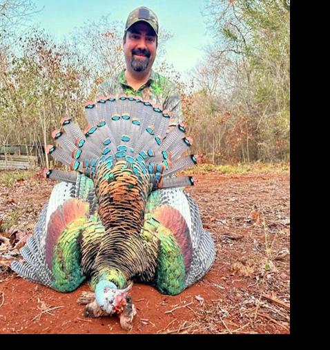 Chetek hunters harvest Ocellated turkeys in Yucatán | Outdoors ...