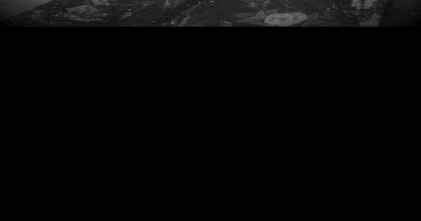 David Godbout Sr. | Obituaries | chetekalert.com