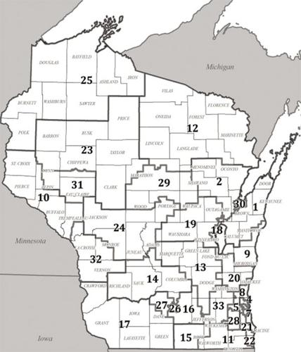 Voters take a look at new state legislative maps for senate, assembly ...