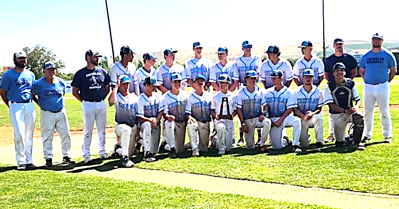 Cougars place third at state baseball tournament | Sports ...