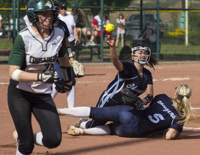 SOFTBALL: Cougars have best finish in school history | Archives ...