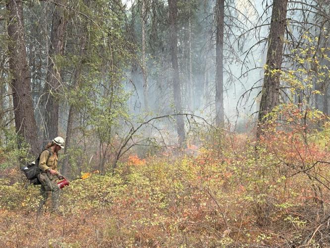 Rain allows crews to make progress on local fire containment | News ...