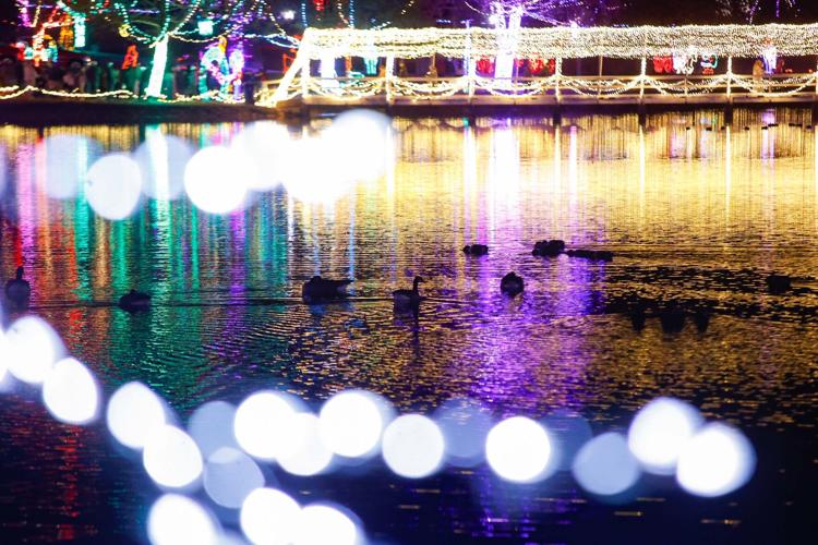 PHOTOS: Festival of Lights open for holiday season | Gallery ...