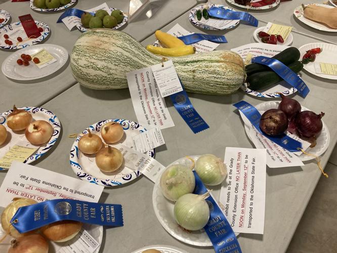Grady County Fair releases still exhibit winners, placements | News ...
