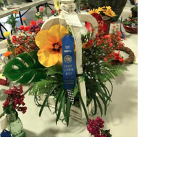 107th Annual Grady County Free Fair set for Aug. 25-27 | News ...