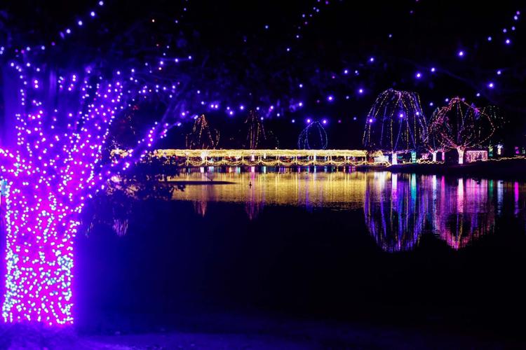 PHOTOS: Festival of Lights open for holiday season | Gallery ...