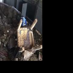 10 dog carcasses found in Newalla animal cruelty case | News ...