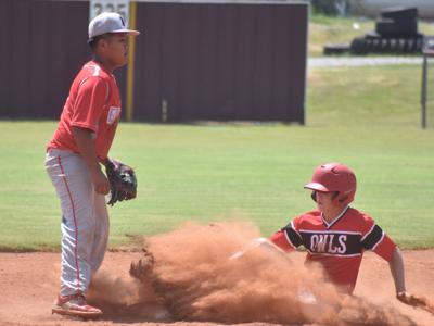 Baseball: Ninnekah, Verden win tournament openers | Sports ...