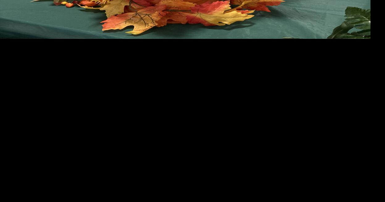 Grady County Fair releases still exhibit winners, placements | News ...