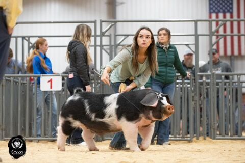 FFA Highlight: FFA changes trajectory of Emma Gunn's life | News ...