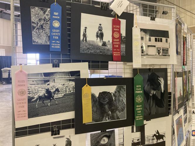 GALLERY: 108th Grady County Free Fair exhibits show county's best ...