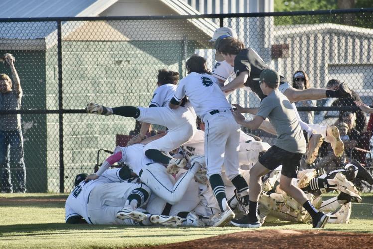 BASEBALL: Am-Po Panthers claw their way to state spot | Sports ...