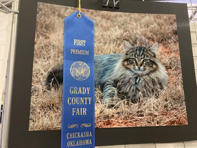 GALLERY: 108th Grady County Free Fair exhibits show county's best ...