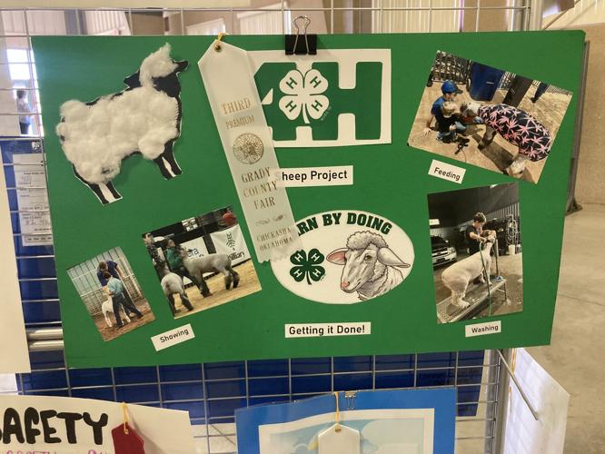 GALLERY: 108th Grady County Free Fair exhibits show county's best ...