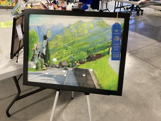 Grady County Fair releases still exhibit winners, placements | News ...