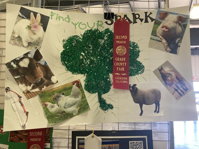 GALLERY: 108th Grady County Free Fair exhibits show county's best ...
