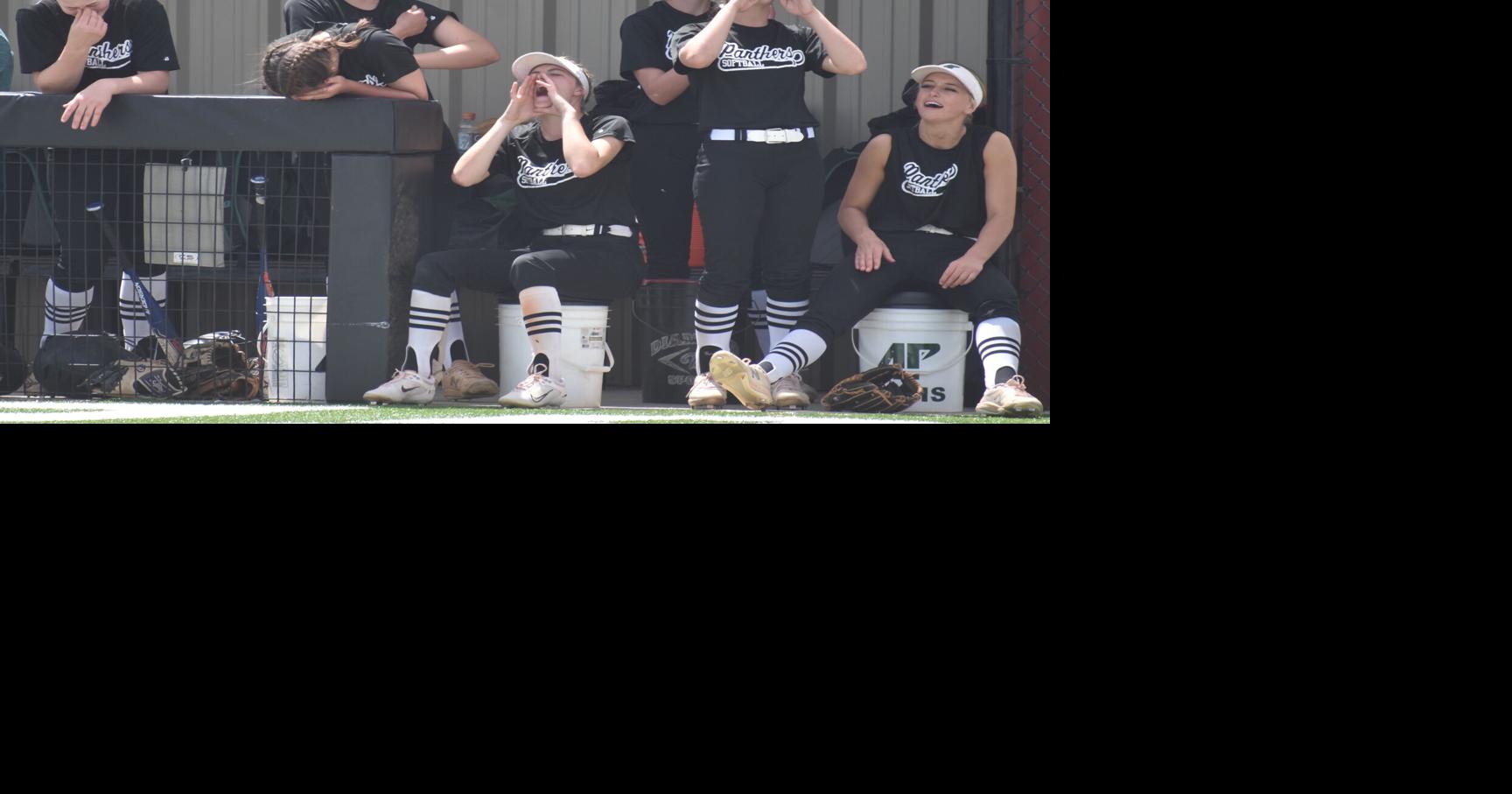 SOFTBALL: Am-Po, other area teams win district titles | Sports ...
