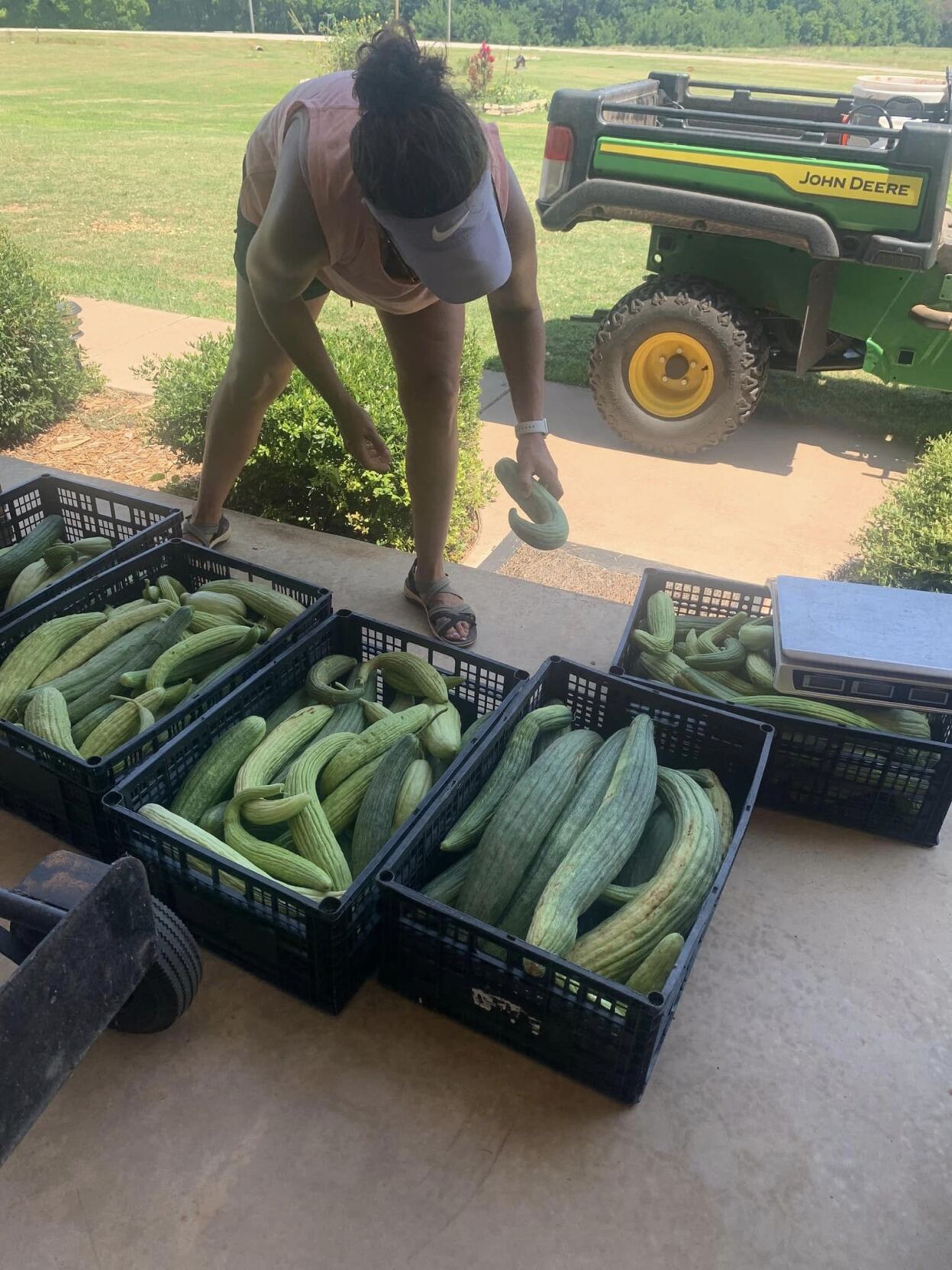 7 Acre Farms provides family legacy pickles, local products | News ...