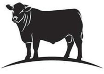 Angus group gets Lindsay member | News | chickashanews.com