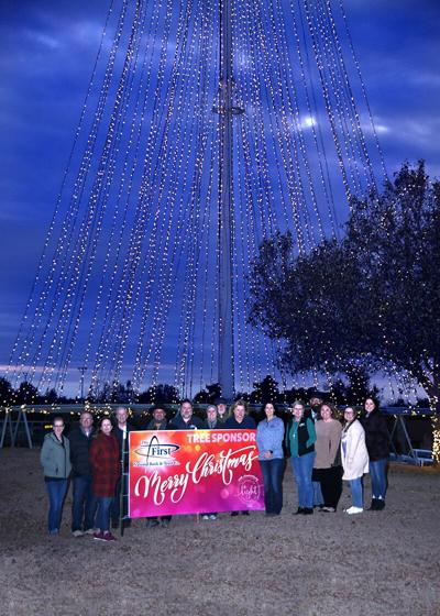 Bankers light up the Big Tree for FOL's 30th year | News ...