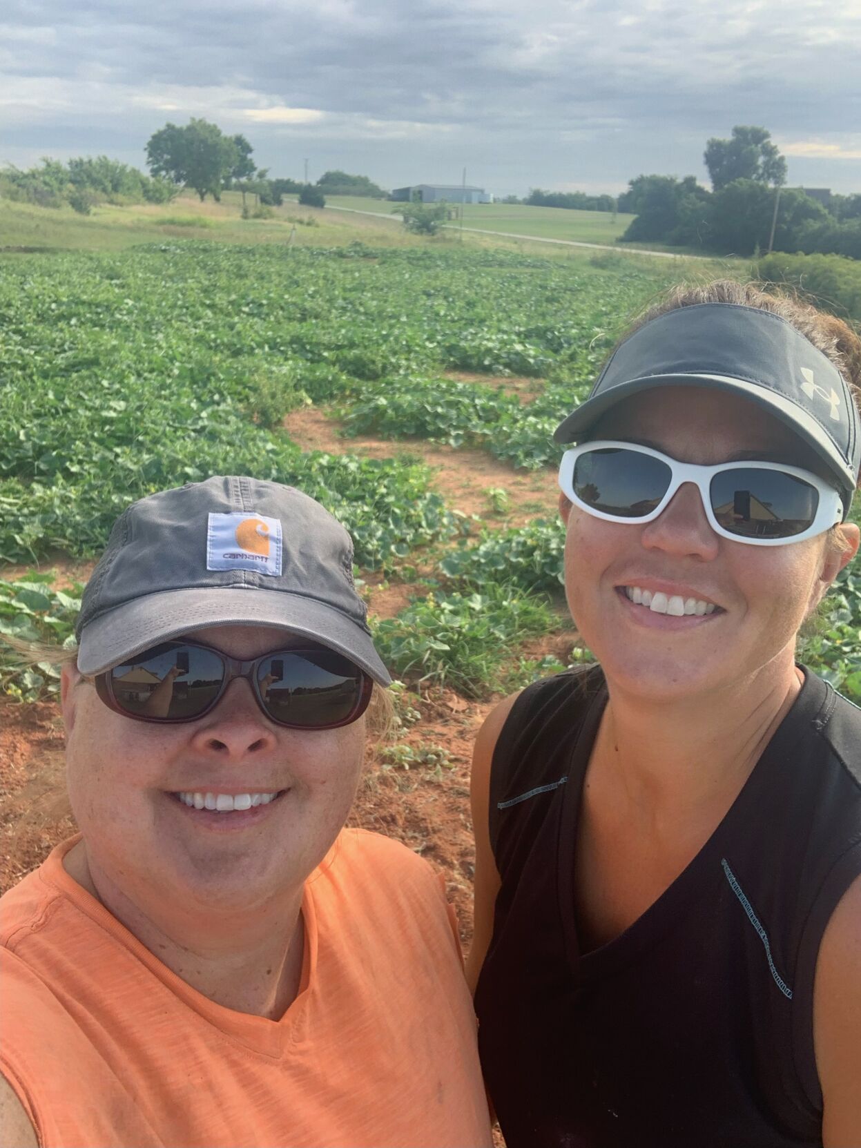 7 Acre Farms provides family legacy pickles, local products | News ...