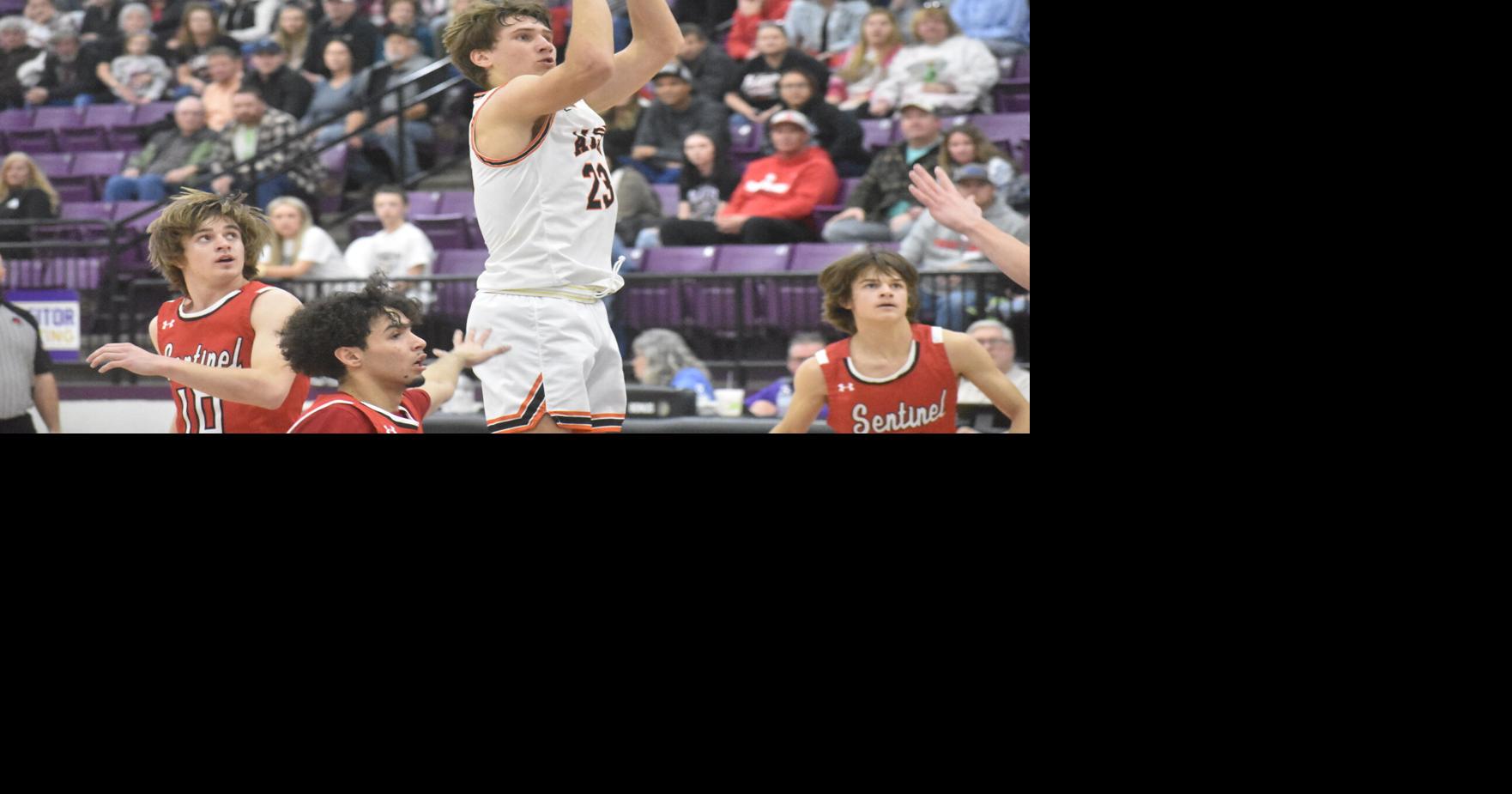 BASKETBALL: Alex Longhorns make postseason run | Sports | chickashanews.com