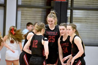 BASKETBALL: Area teams to compete for regional titles | Sports ...